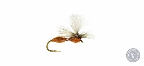 Parachute Cinnamon Ant - The realistic ant | Superflies.com