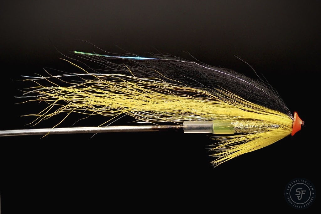 Black & Yellow Disc Cone kupariputki | Superflies.com