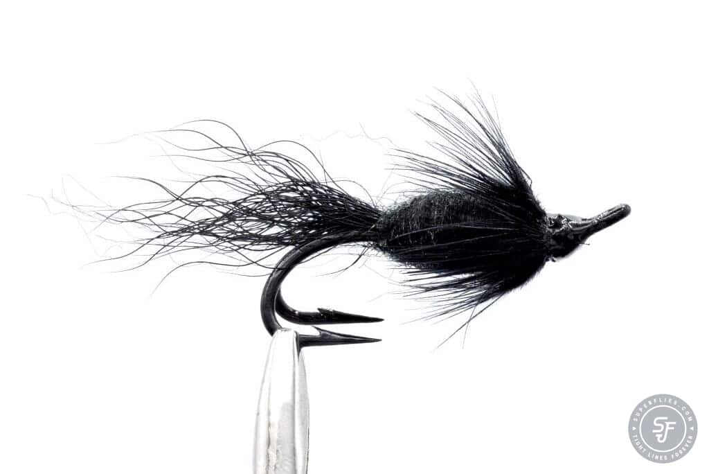 Black Labrador - Oate Diablo | Superflies.com