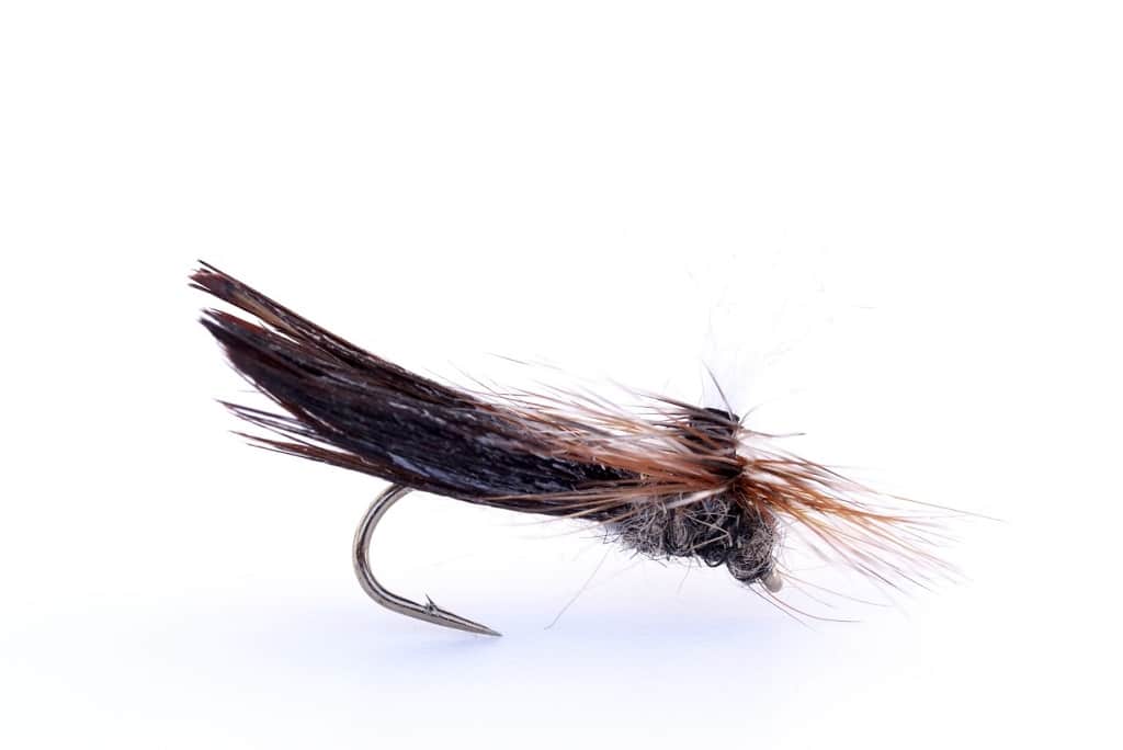 Caddis Adams Parachute - Dry fly | Superflies.com