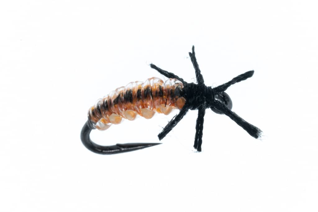 Caddis Larva Go To Trout Larva Nymph Superflies