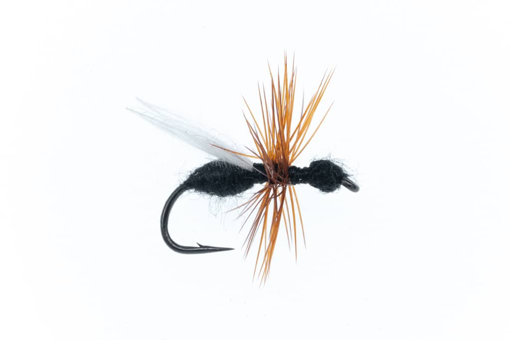 CDC Flying Ant - The high-floating ant fly | Superflies.com