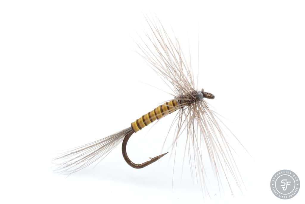 Yellow Quill - Yksinkertainen on tehokasta | Superflies.com